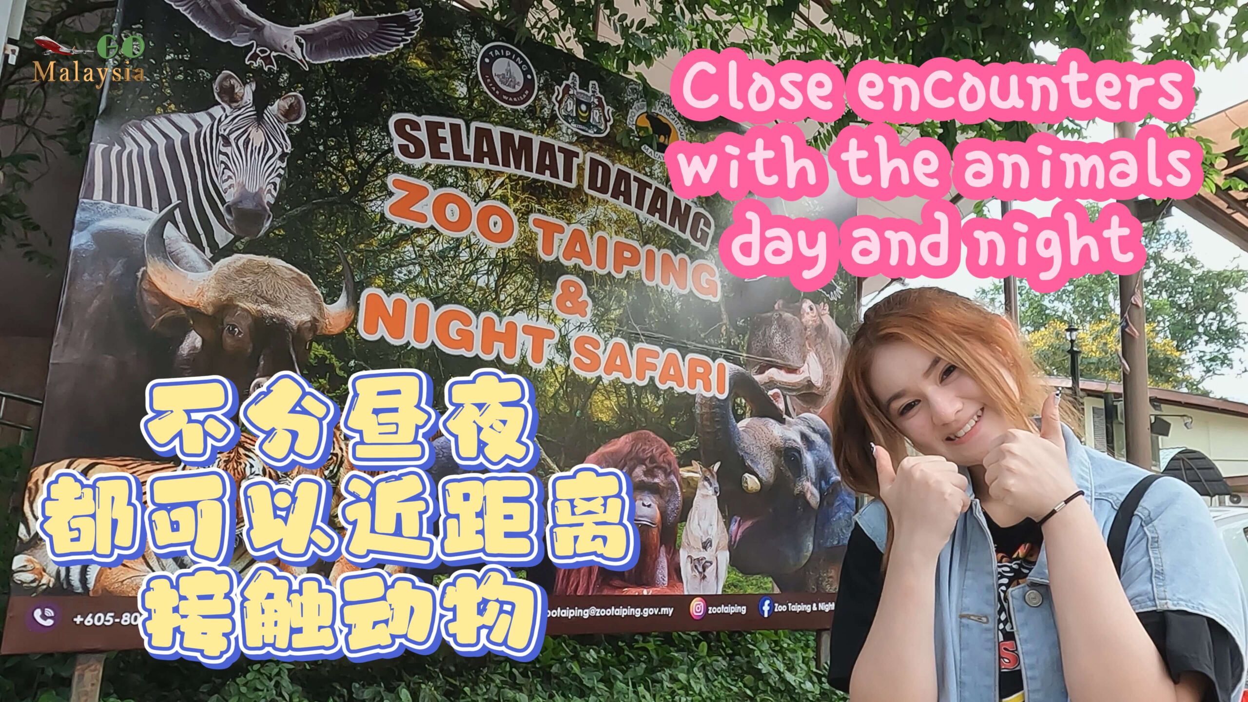Zoo Taiping & Night Safari - Malaysia Go
